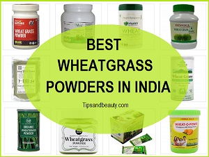 Top 11 Best Wheatgrass Powder Brands in India (2022) and How to Take